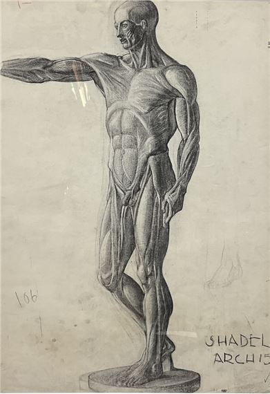 M. S. Shadel | Baltimore School Anatomical Figure Study | MutualArt