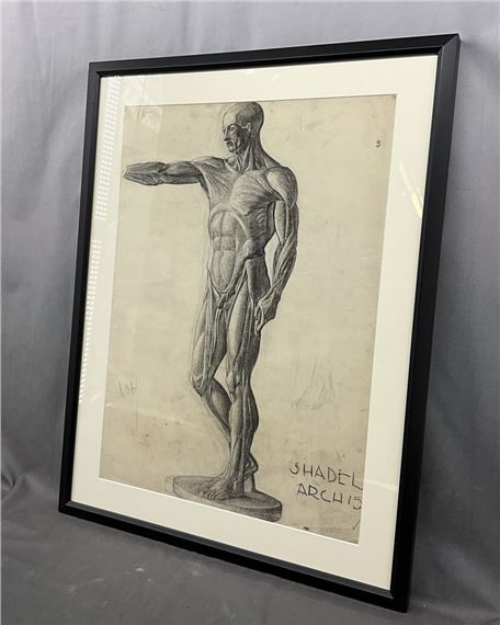 M. S. Shadel | Baltimore School Anatomical Figure Study | MutualArt