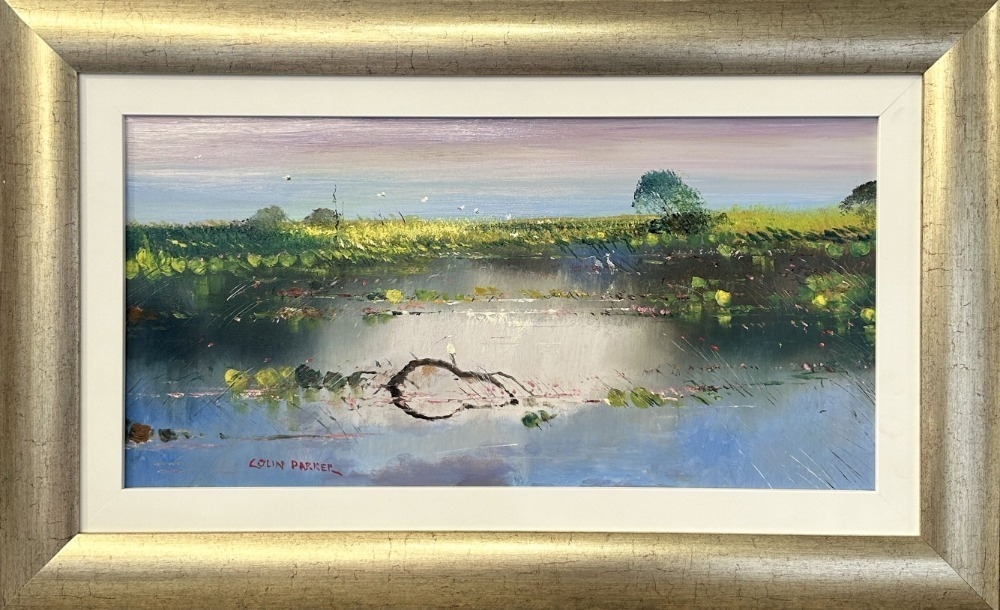 Colin Parker | Wetlands | MutualArt