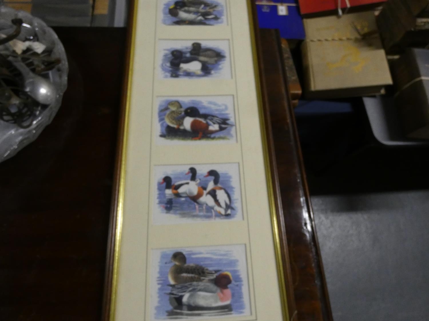 David Binns | Watercolour of Ducks | MutualArt