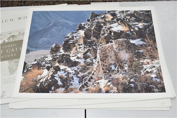 Simon Combes | EIGHT SIGNED LIMITED EDITION PRINTS ON PAPER | MutualArt