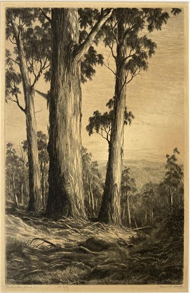 Ernest E. Abbott | Mountain Gums | MutualArt