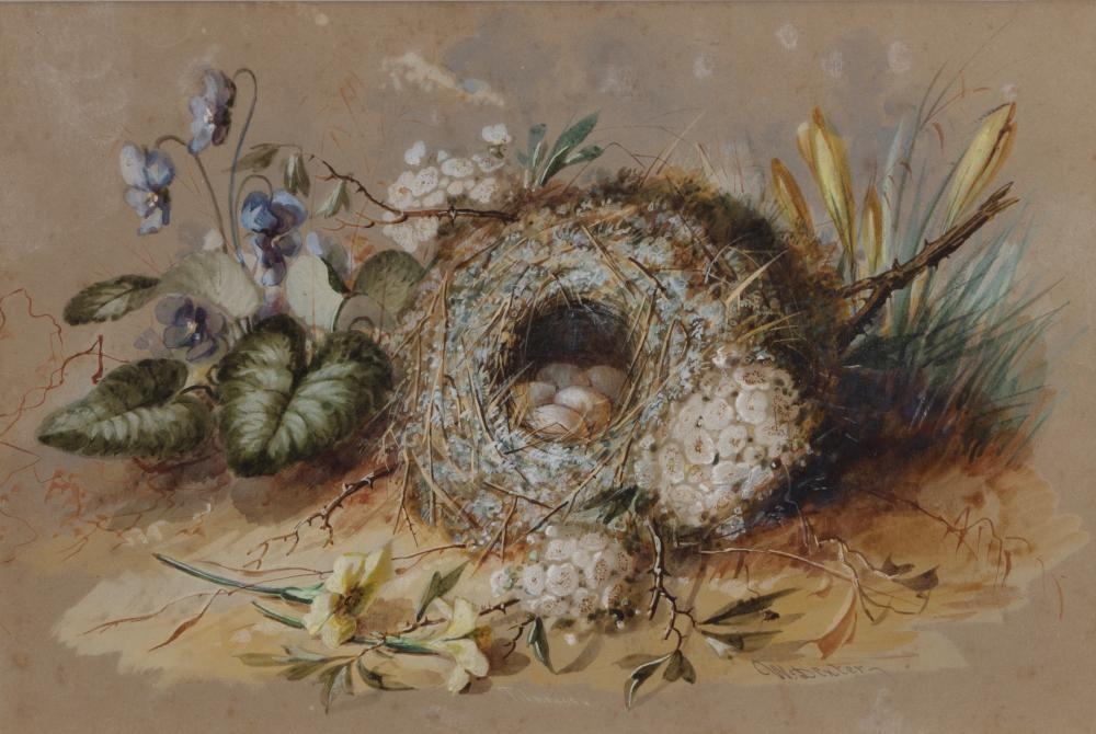 William Dexter | William Dexter - British - Birds Nest (1818) | MutualArt