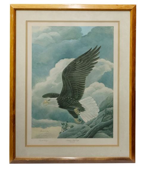 John Ruthven | American Bald Eagle Print | MutualArt