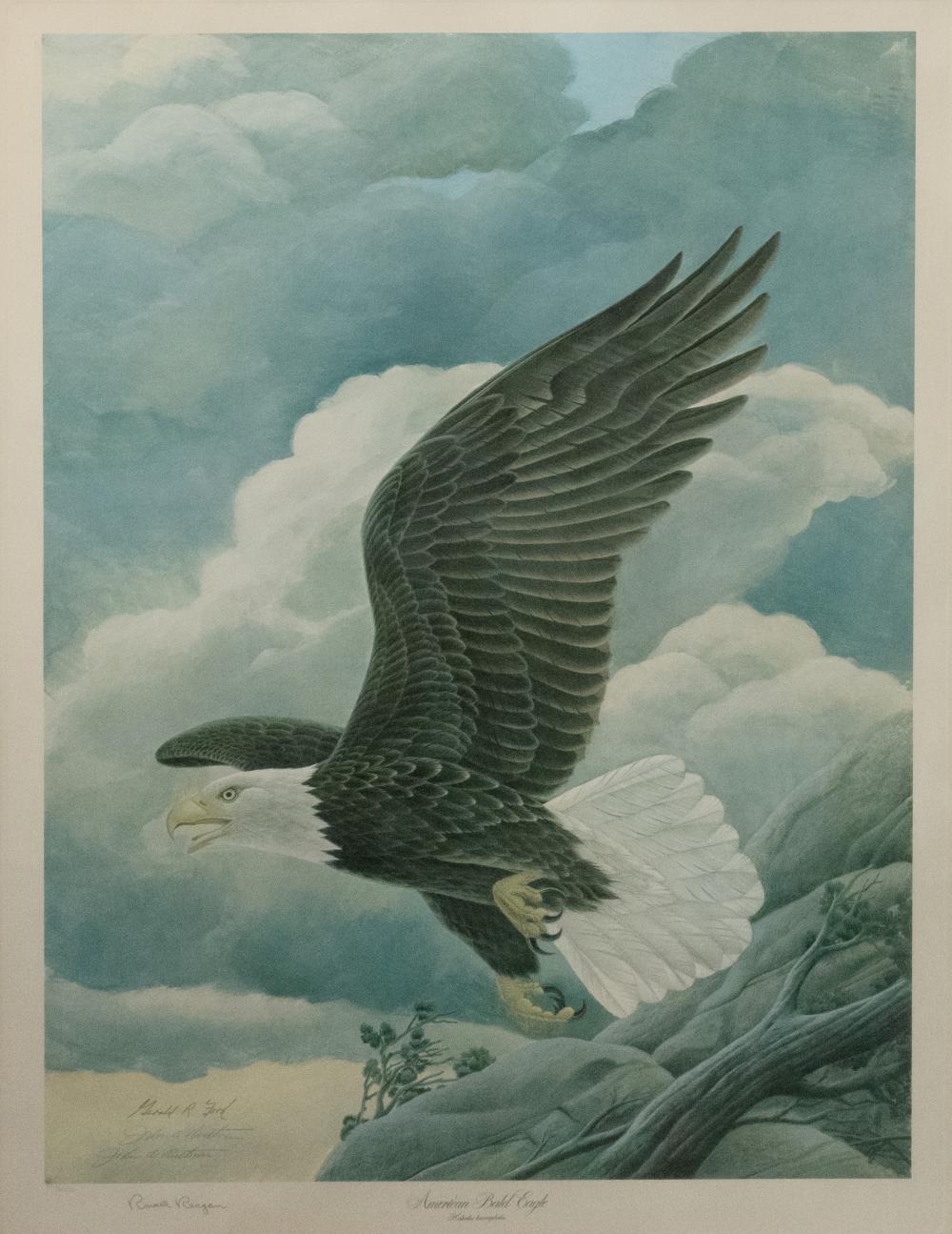 John Ruthven | American Bald Eagle Print | MutualArt