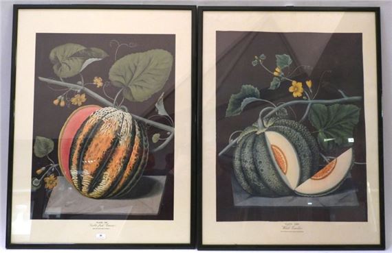 George Brookshaw | Two color prints | MutualArt