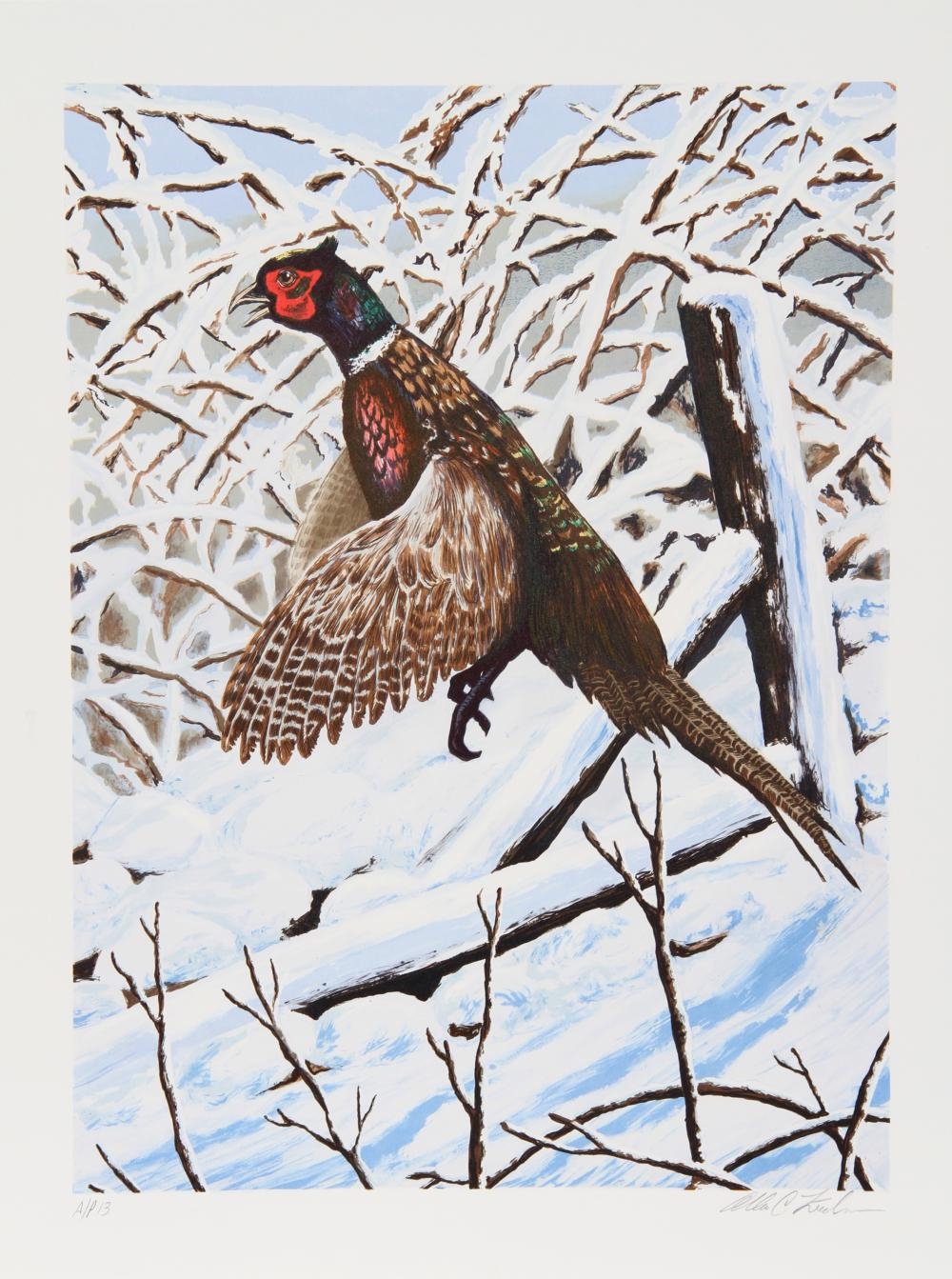 Allen Friedman | PHEASANT IN FLIGHT II (1978) | MutualArt