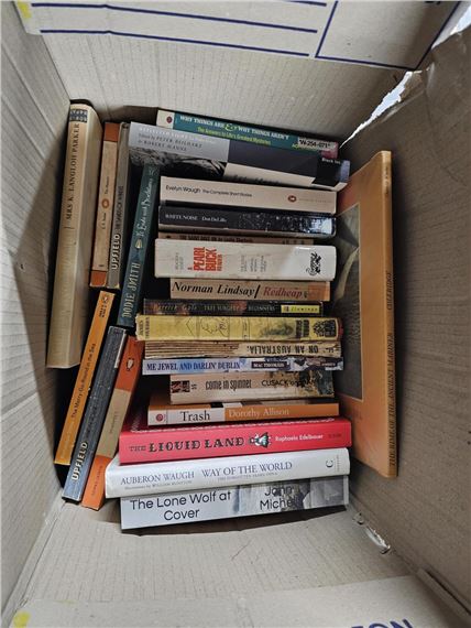 Robert Graves | A collection of novels (2 boxes) including White Noise ...