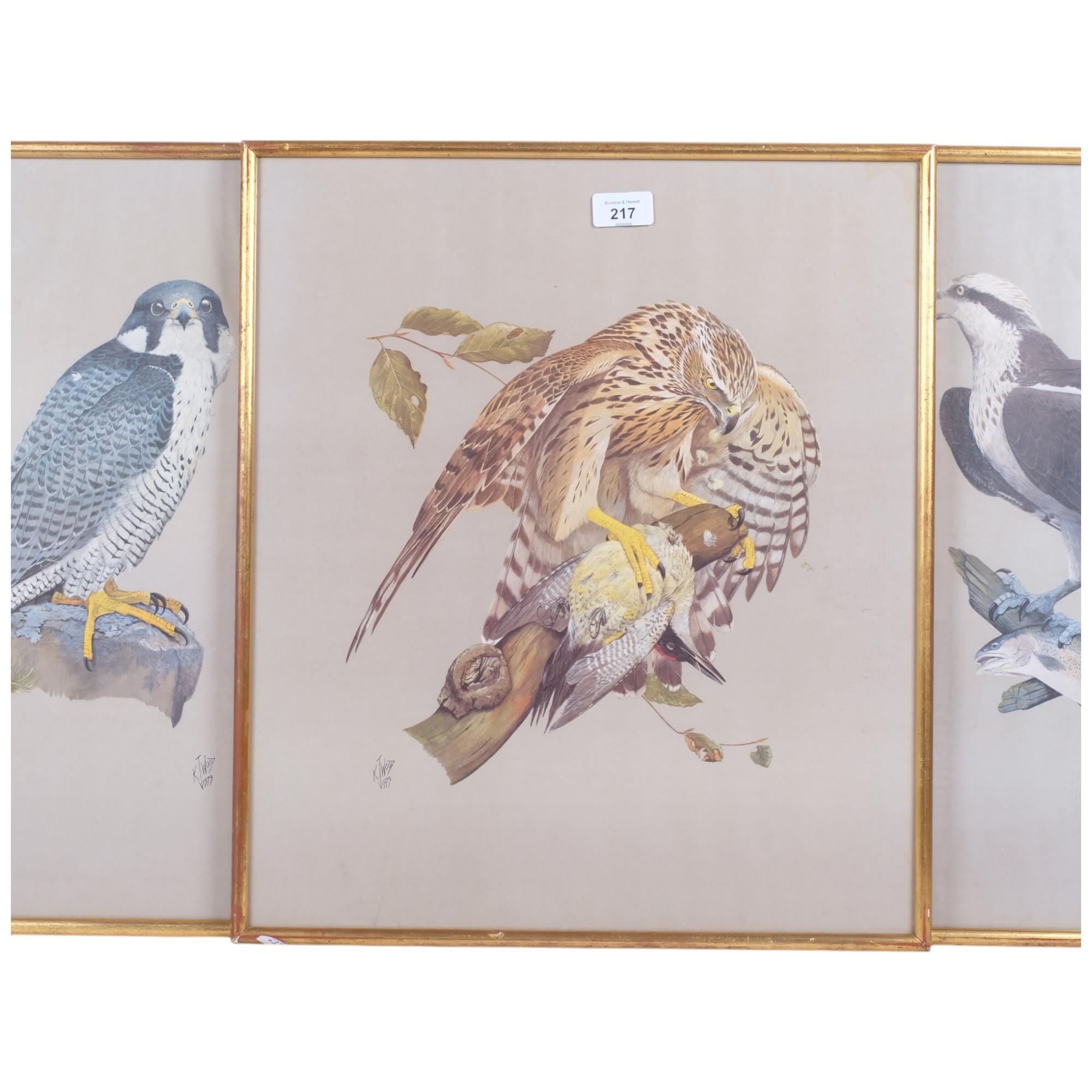 Kenneth J. Wood | falcon studies | MutualArt