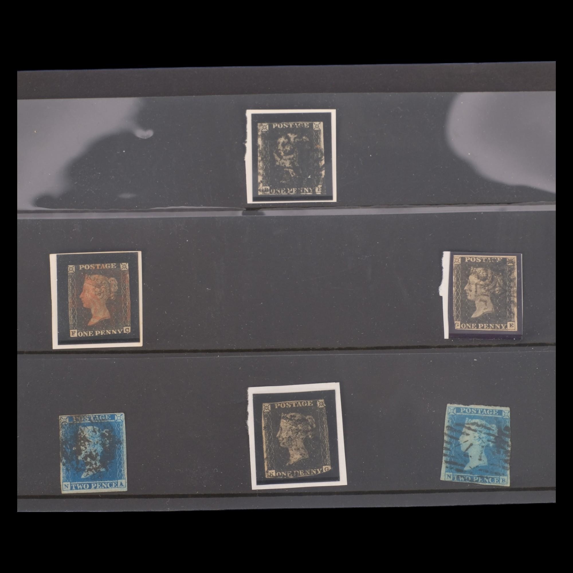 Penny | FC | MutualArt