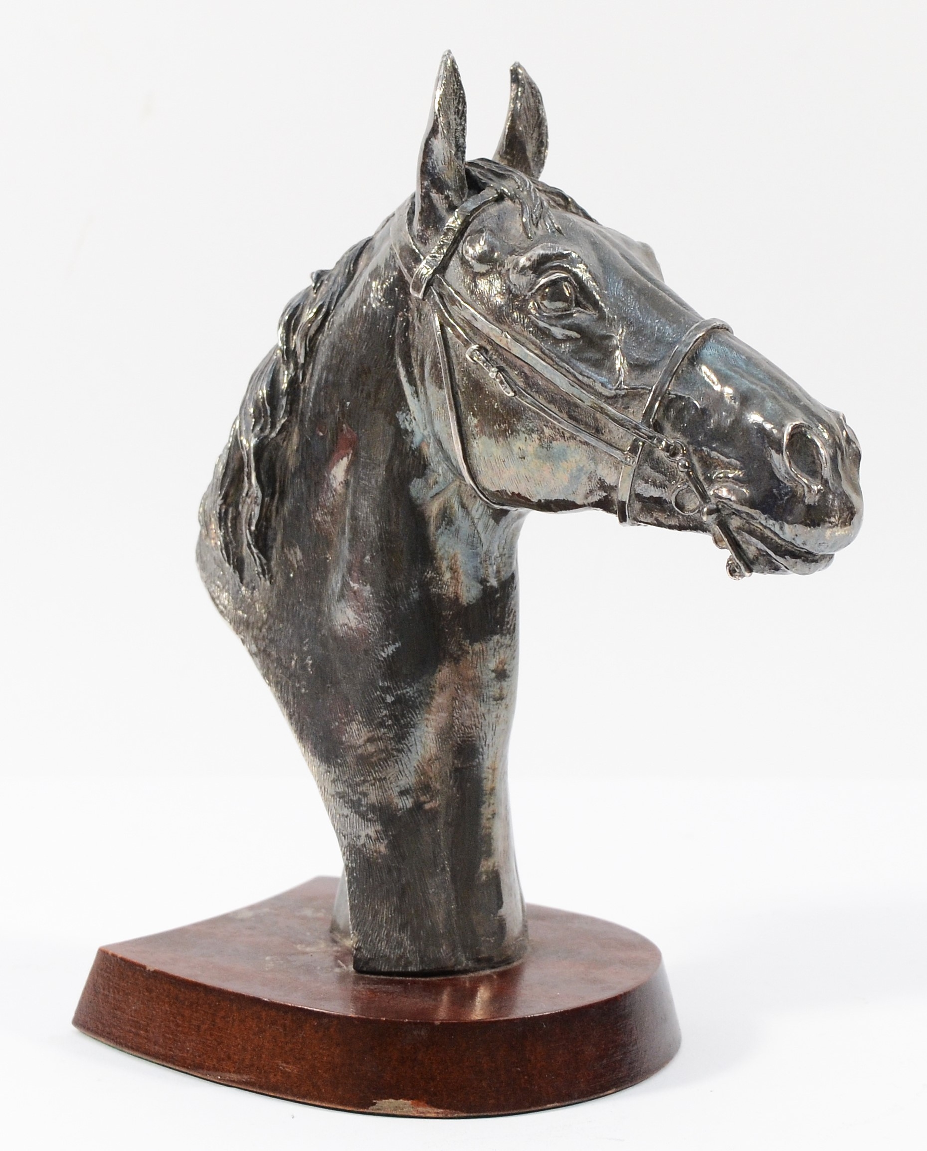 David Geenty | Sculpture of a horses head wearing a bridle | MutualArt