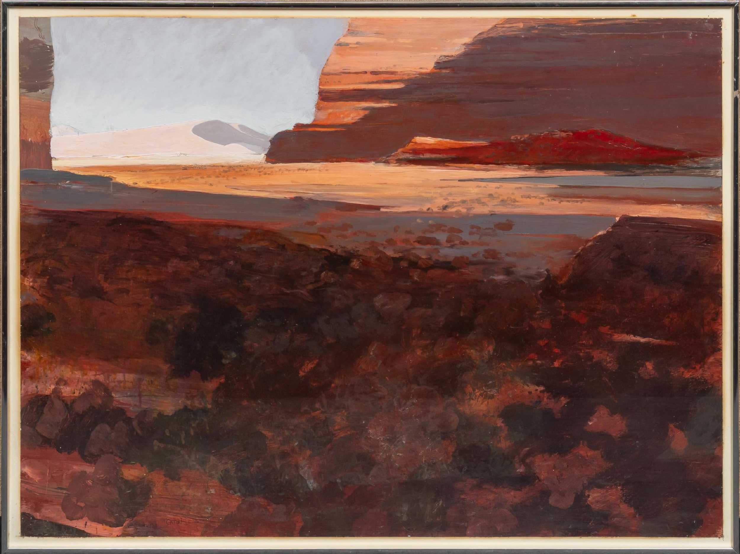 David Caton | Big Bend Canyon Scene | MutualArt