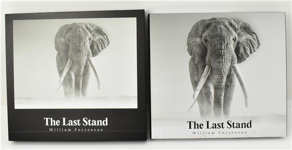 William Fortescue | 1 Artworks at Auction | MutualArt