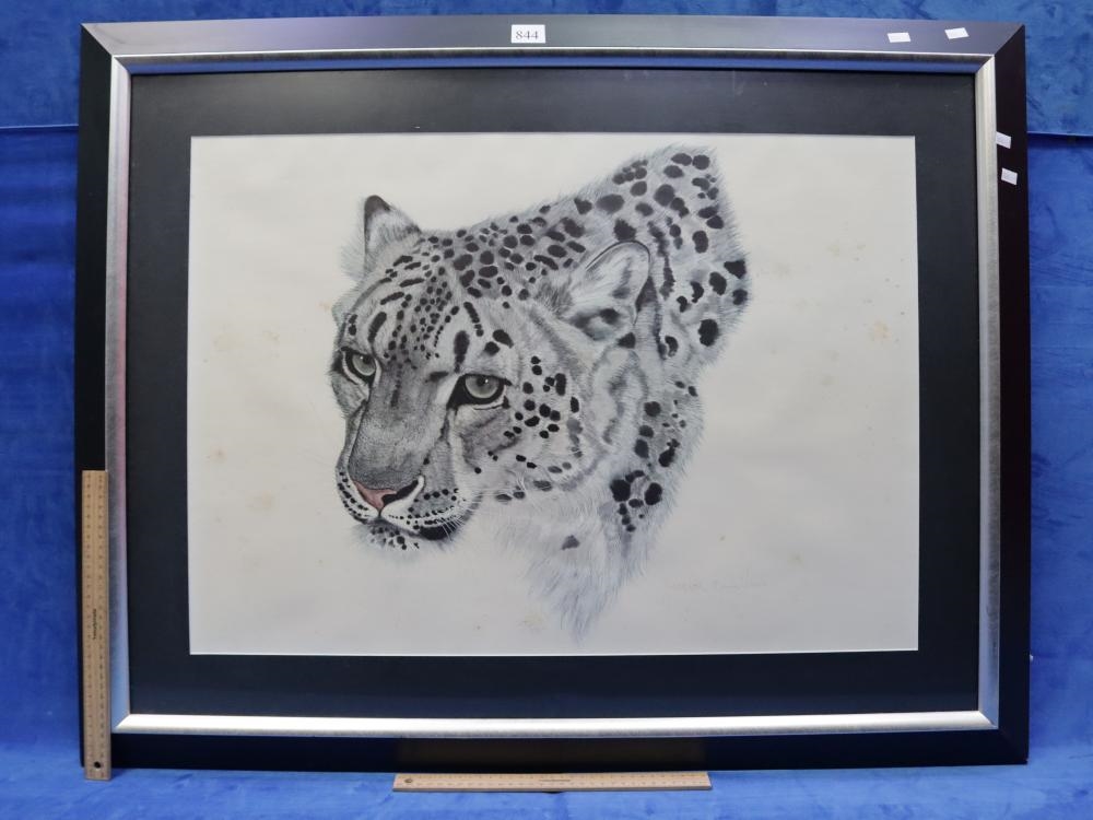 Jacquie Marie Vaux | LARGE LIMITED EDITION PRINT #505/750 BY JACQUE ...