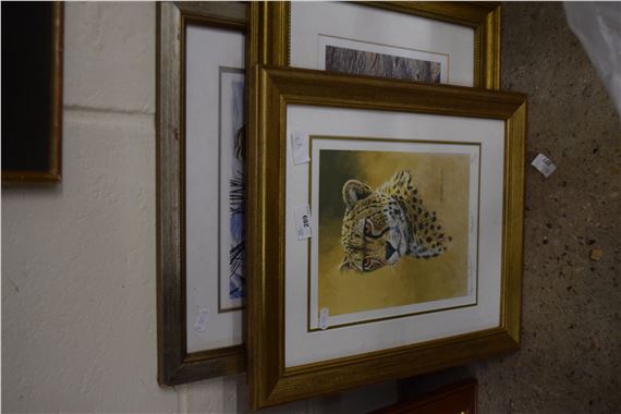 Stephen Gayford | three coloured prints of big cats | MutualArt