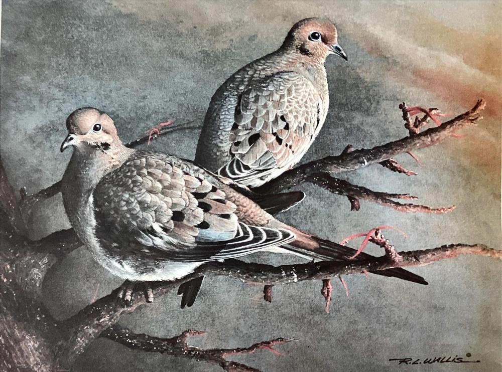 Robert Wallis | Morning Doves | MutualArt