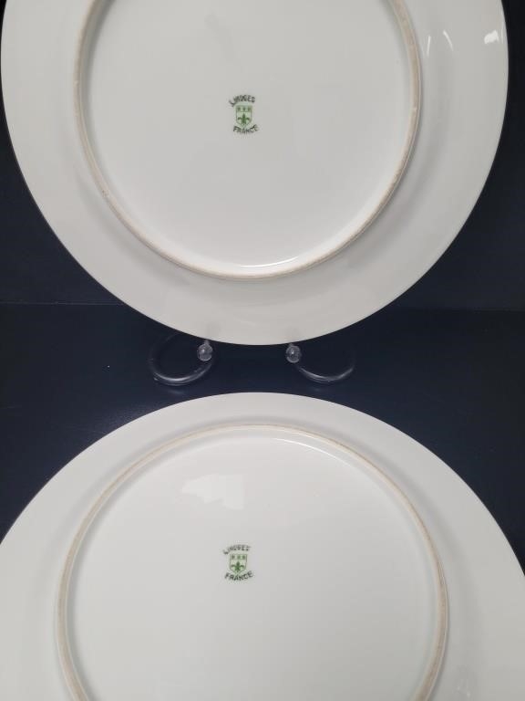 Limoges | 6 Limoges Floral Porcelain Dinner Plates | MutualArt