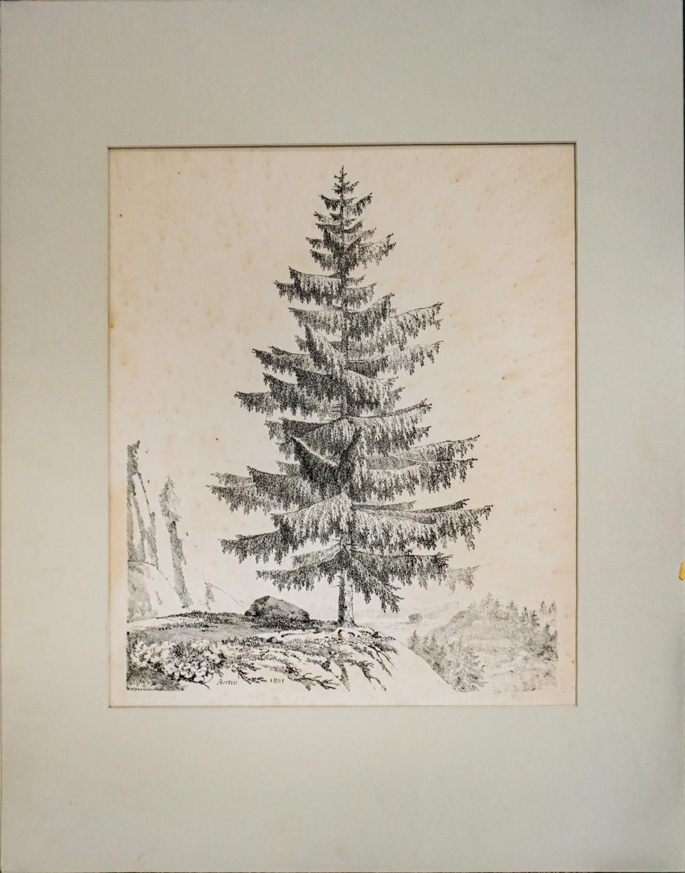 Jean-Victor Bertin | Spruce (1821) | MutualArt