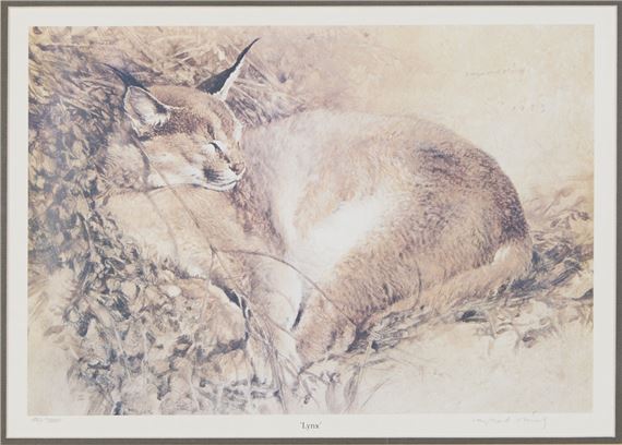 Raymond Harris Ching | Green Peacock studies (1992) | MutualArt