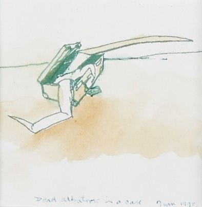 Greer Twiss | Dead Albatross in a Case (1998) | MutualArt