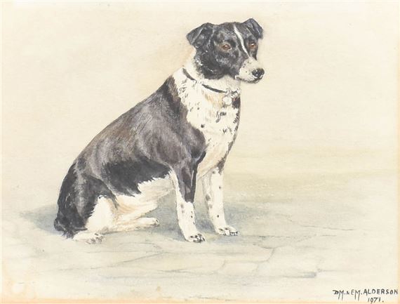 Elizabeth Alderson | Study of a Collie Cross Boxer, called Kim (1971 ...
