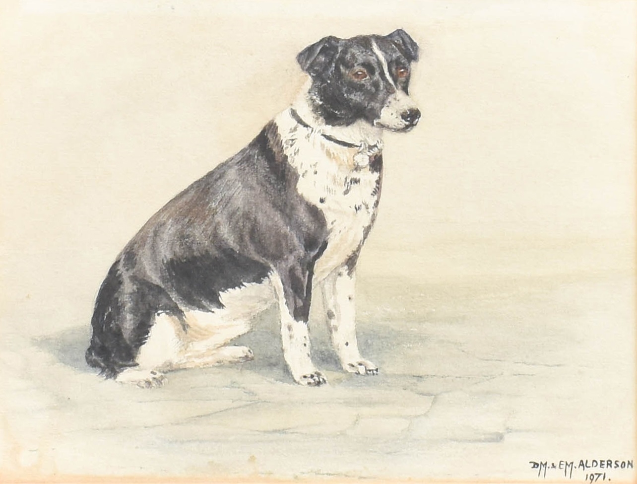 Elizabeth Alderson | Study of a Collie Cross Boxer, called Kim (1971 ...