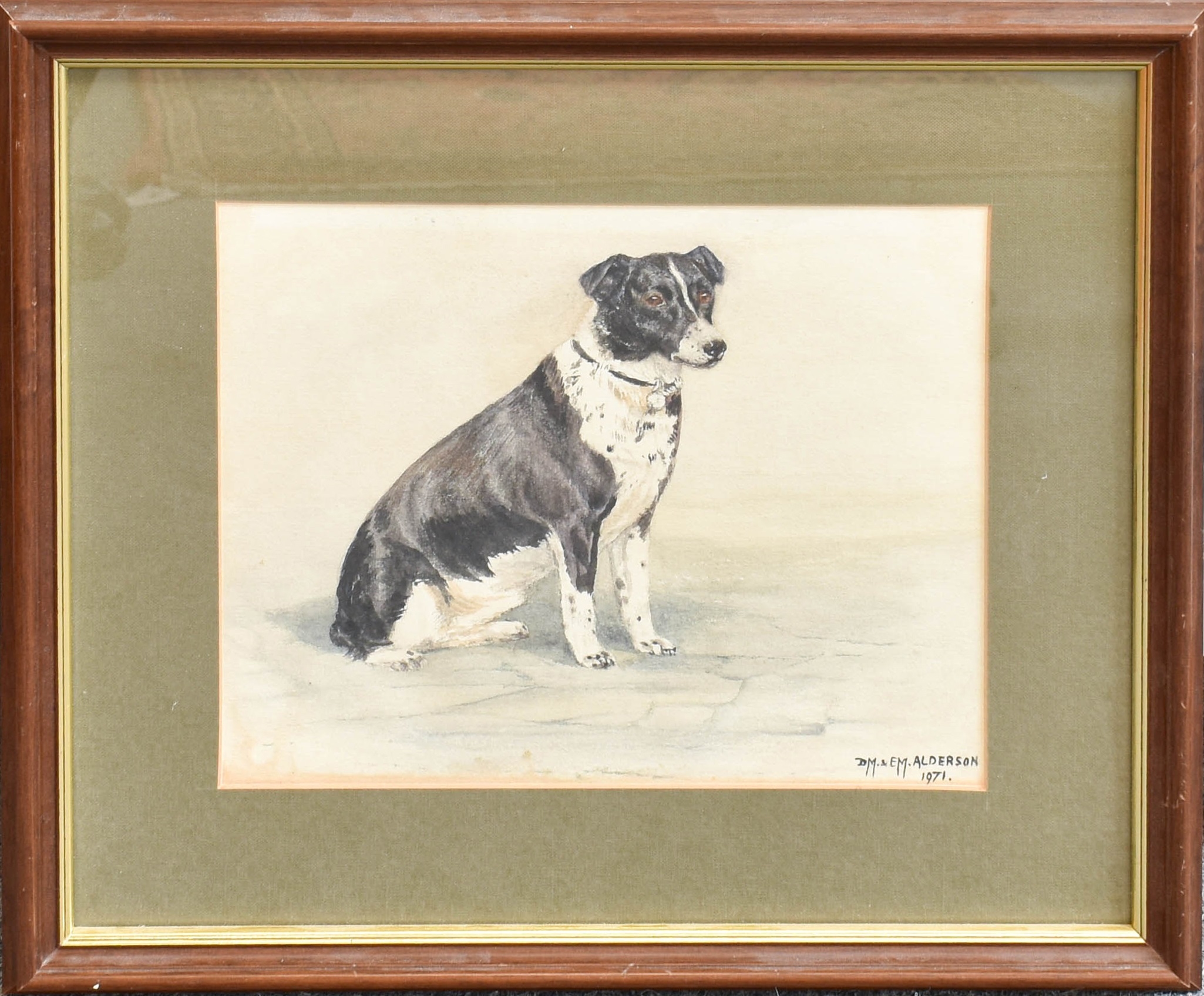 Elizabeth Alderson | Study of a Collie Cross Boxer, called Kim (1971 ...