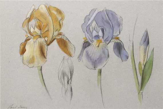 Paul Osborne Jones | Paul Osborne Jones (1921-1997 | MutualArt