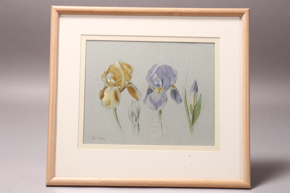 Paul Osborne Jones | Paul Osborne Jones (1921-1997 | MutualArt