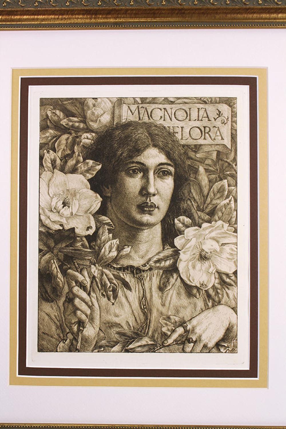 George Woolliscroft Rhead | Magnolia Grandiflora (1885) | MutualArt