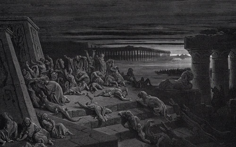 Gustave Doré | 1800s Gustave Dore Wood Engraving The Ninth Plague ...