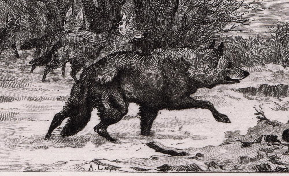 Auguste Lançon | Auguste Andre Lancon 1874 etching Wolves signed (1874 ...