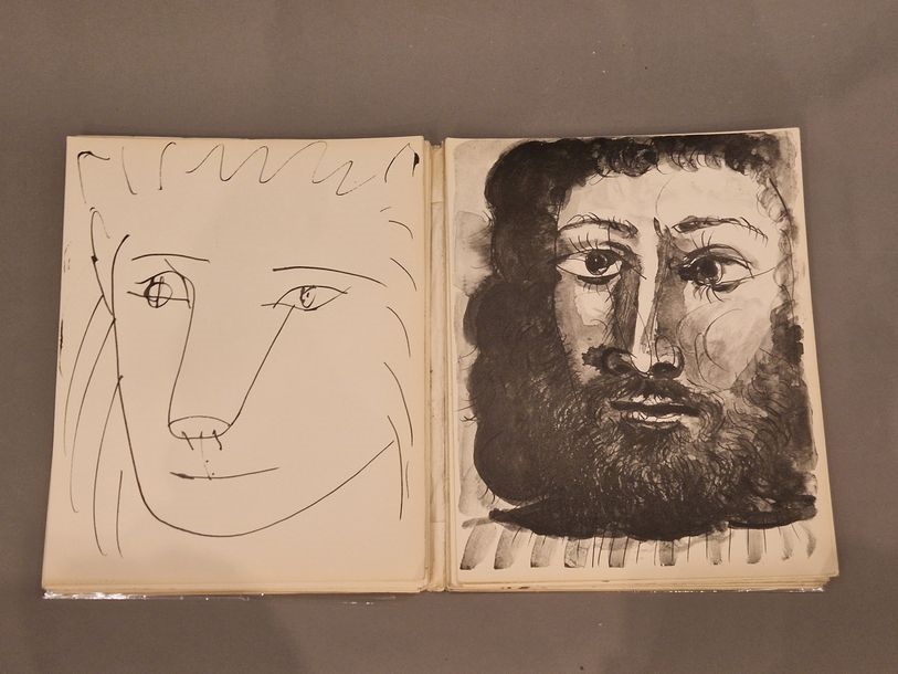 Pablo Picasso | 40 drawings by Picasso in the margin of the Buffon ...