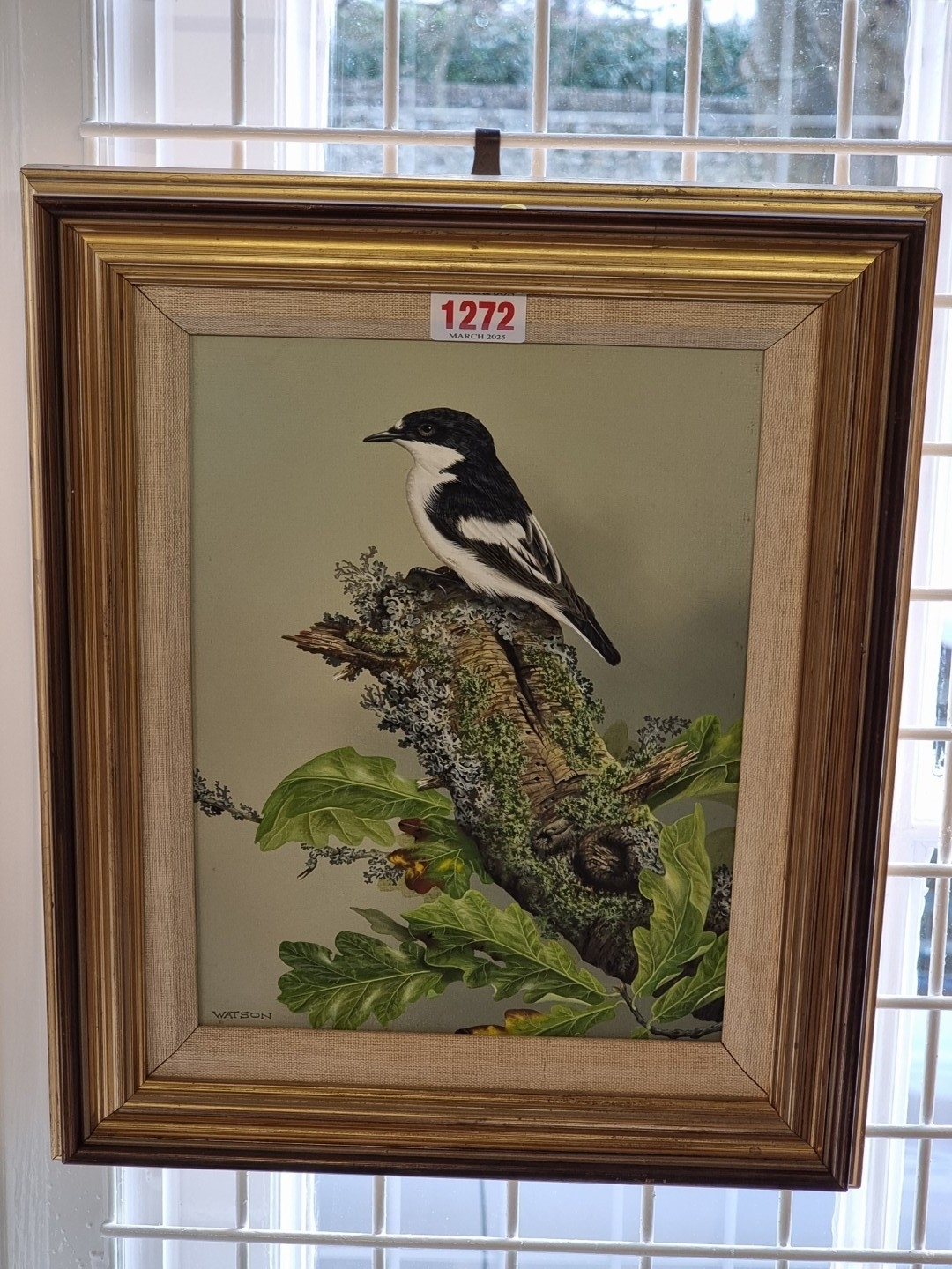 Christopher Watson | Flycatcher | MutualArt