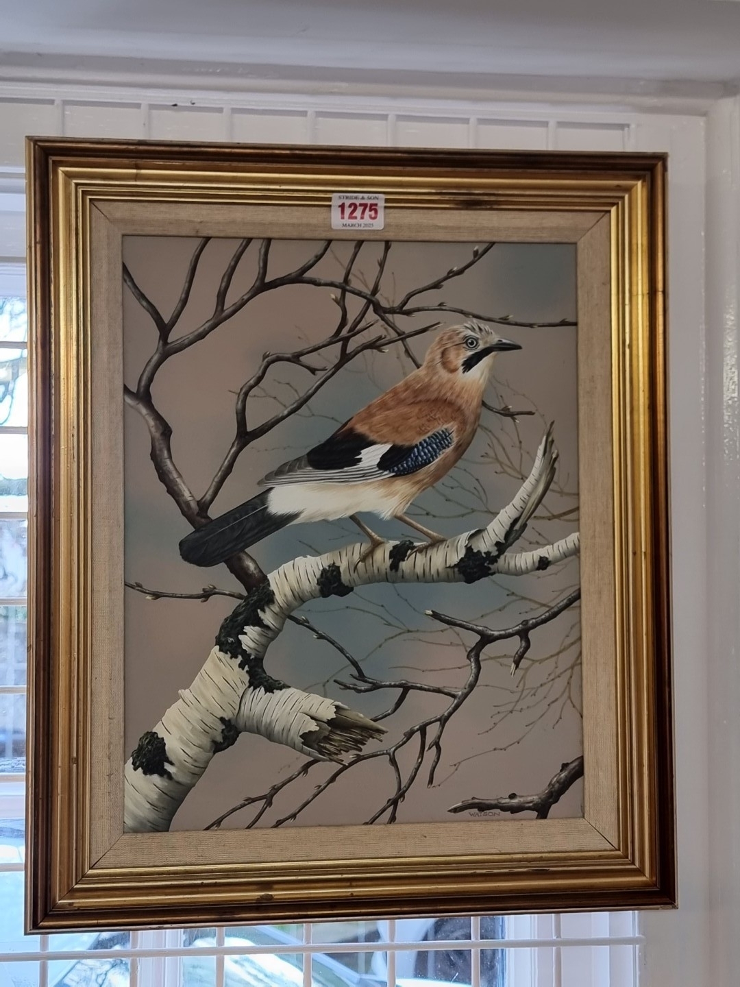 Christopher Watson | Jay on Silver Birch | MutualArt