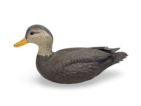 Peter Cool | 1 Artworks | MutualArt