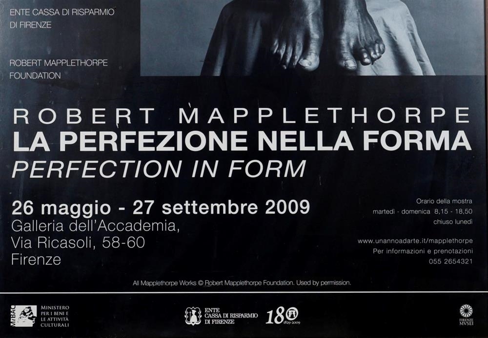 Robert Mapplethorpe | Perfection in Form | MutualArt