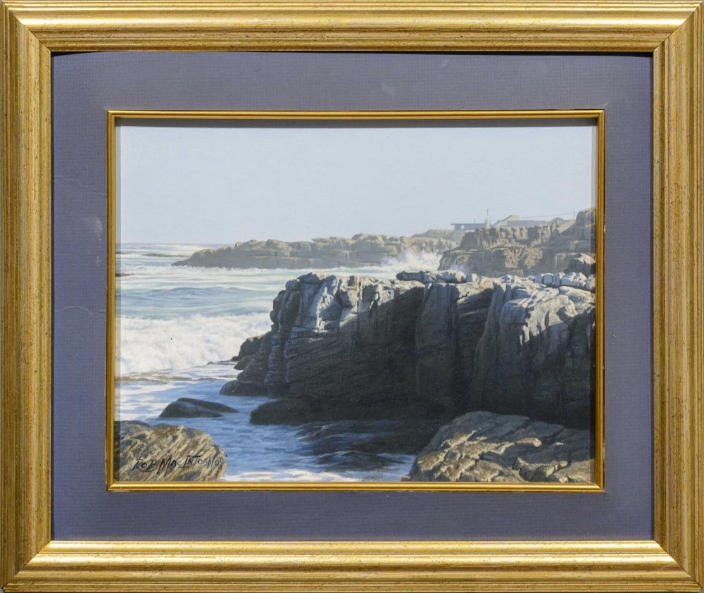 Robert Macintosh | Coastal Landscape (2009) | MutualArt
