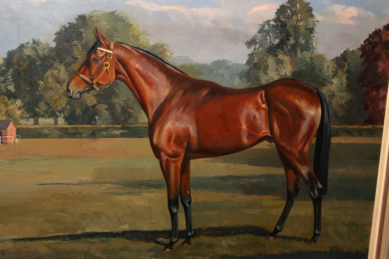 Joan Sleigh | Joan Sleigh Portrait of a Racehorse Contained Within ...