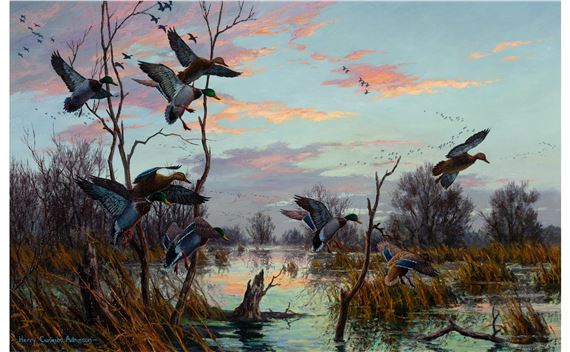 Harry Curieux Adamson | Mallards on the Marsh | MutualArt