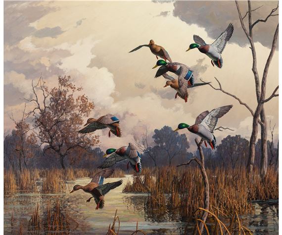 Harry Curieux Adamson | Harry Curieux Adamson (American | MutualArt