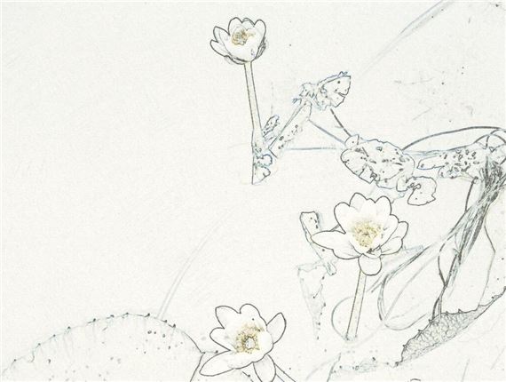Gregory Pryor | Lotus Flowers | MutualArt