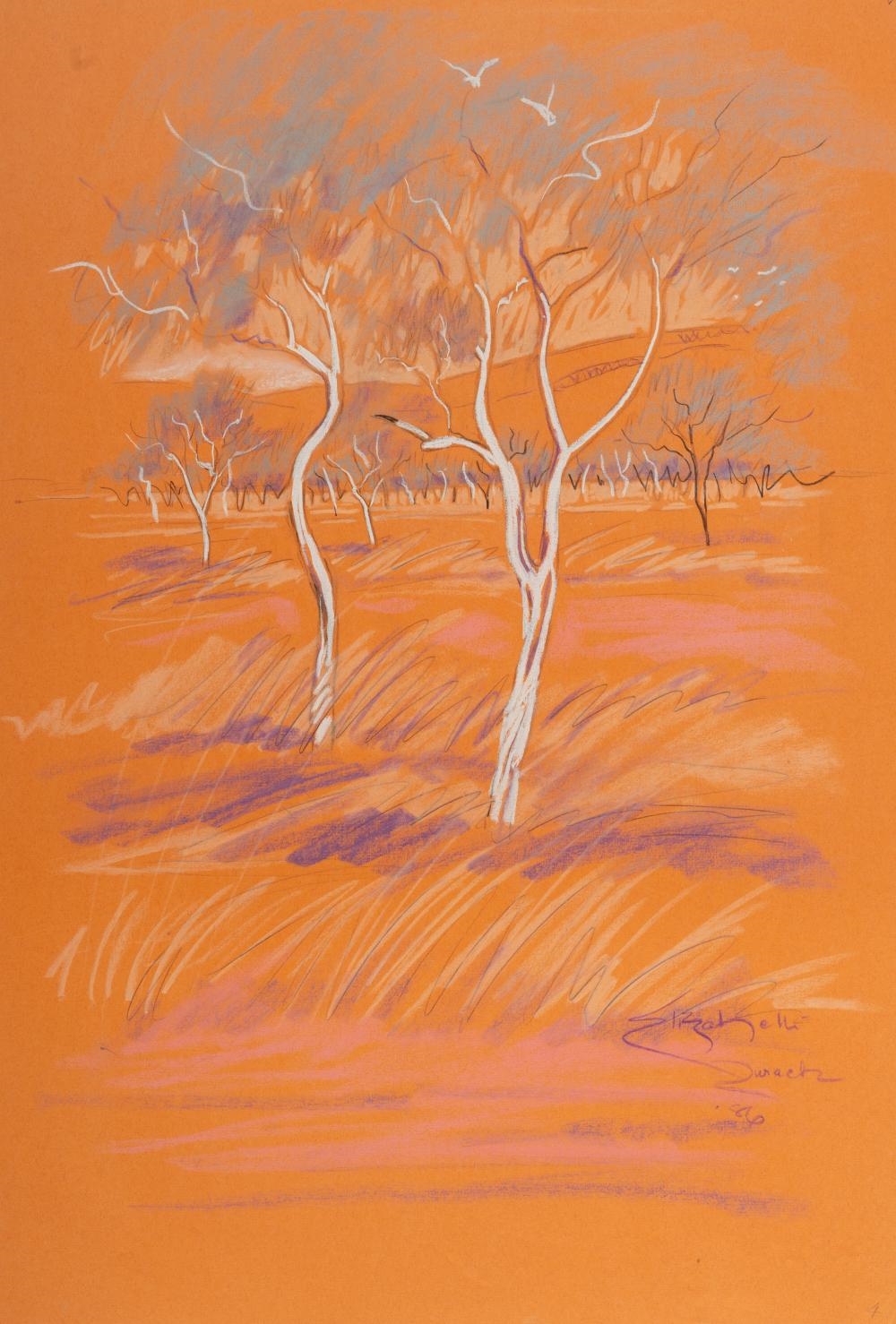 Elizabeth Durack | Bett-Bett series 1 1985 (1985) | MutualArt