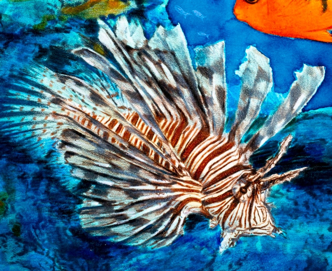 Chris Calle | Undersea Glory II Bikini Atoll-Diver-Exploring Wreckage ...