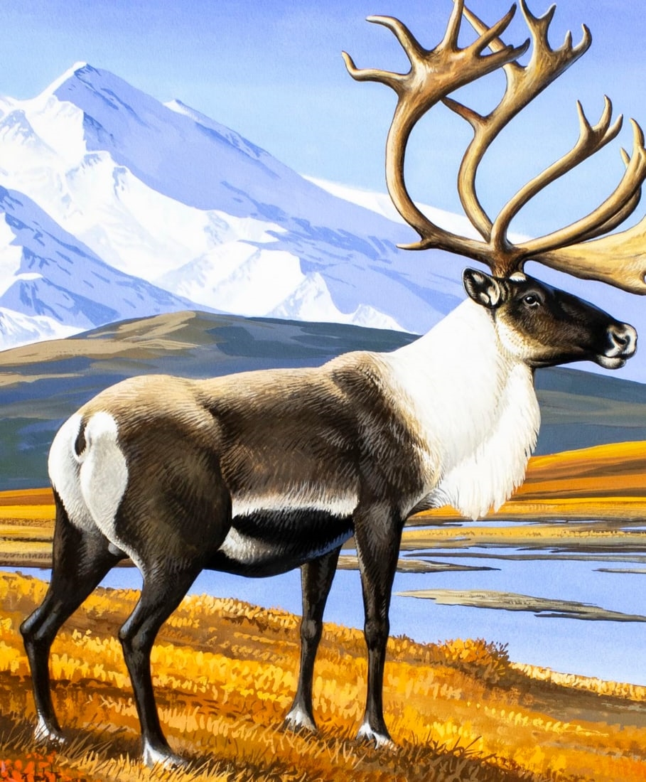 Chuck Ripper | Woodland Caribou (1996) | MutualArt