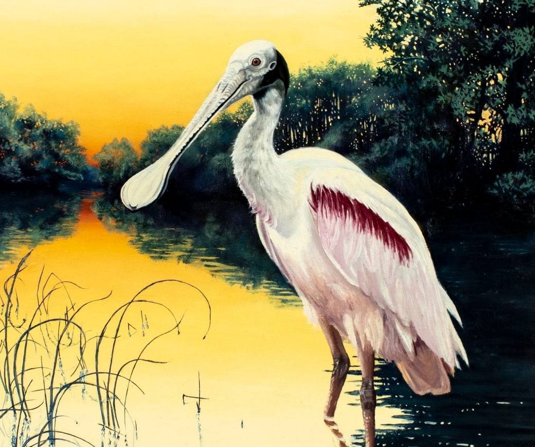Kirk Stirnweis | Rosette Spoonbill Bird (1987) | MutualArt