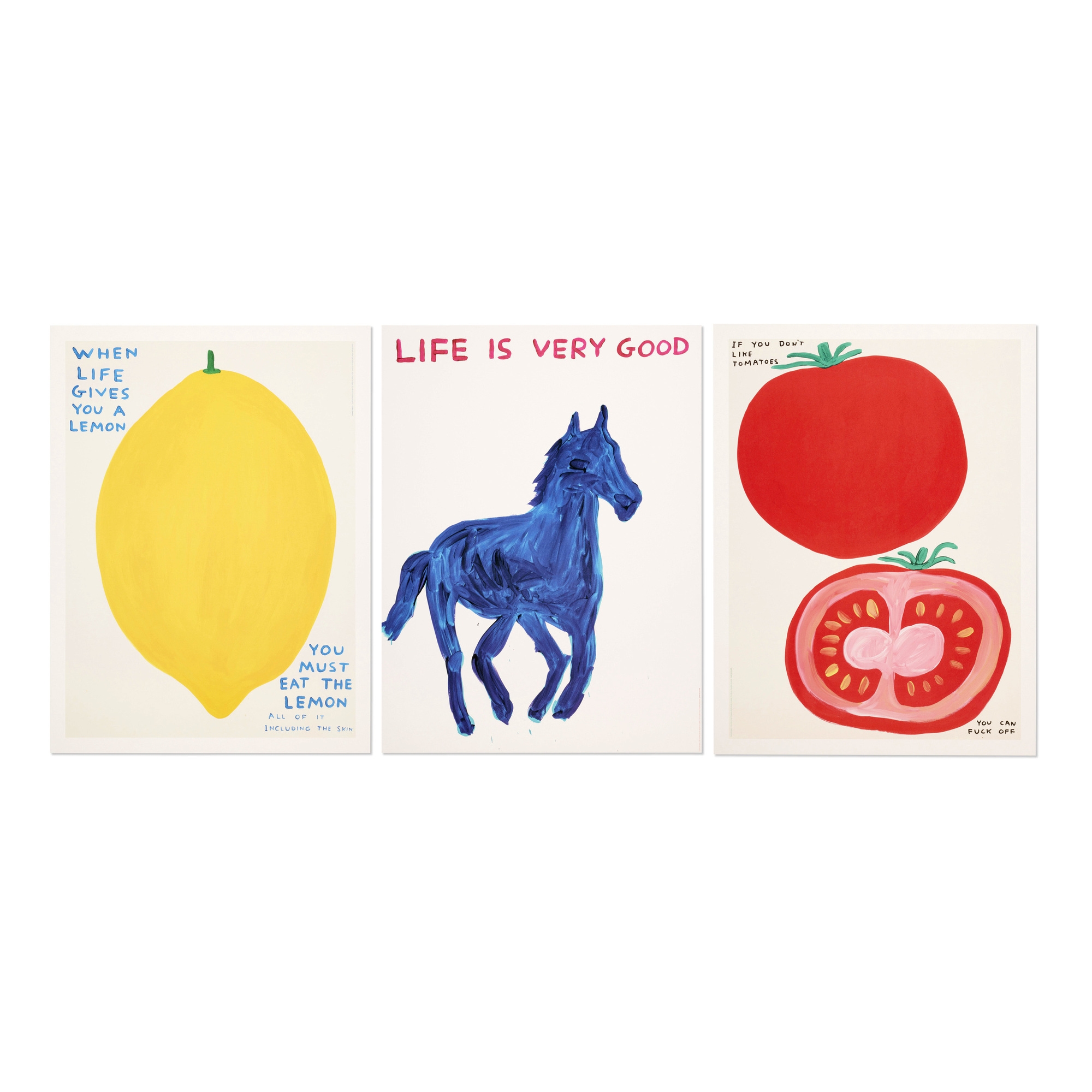 David Shrigley | Three Works (2021) | MutualArt