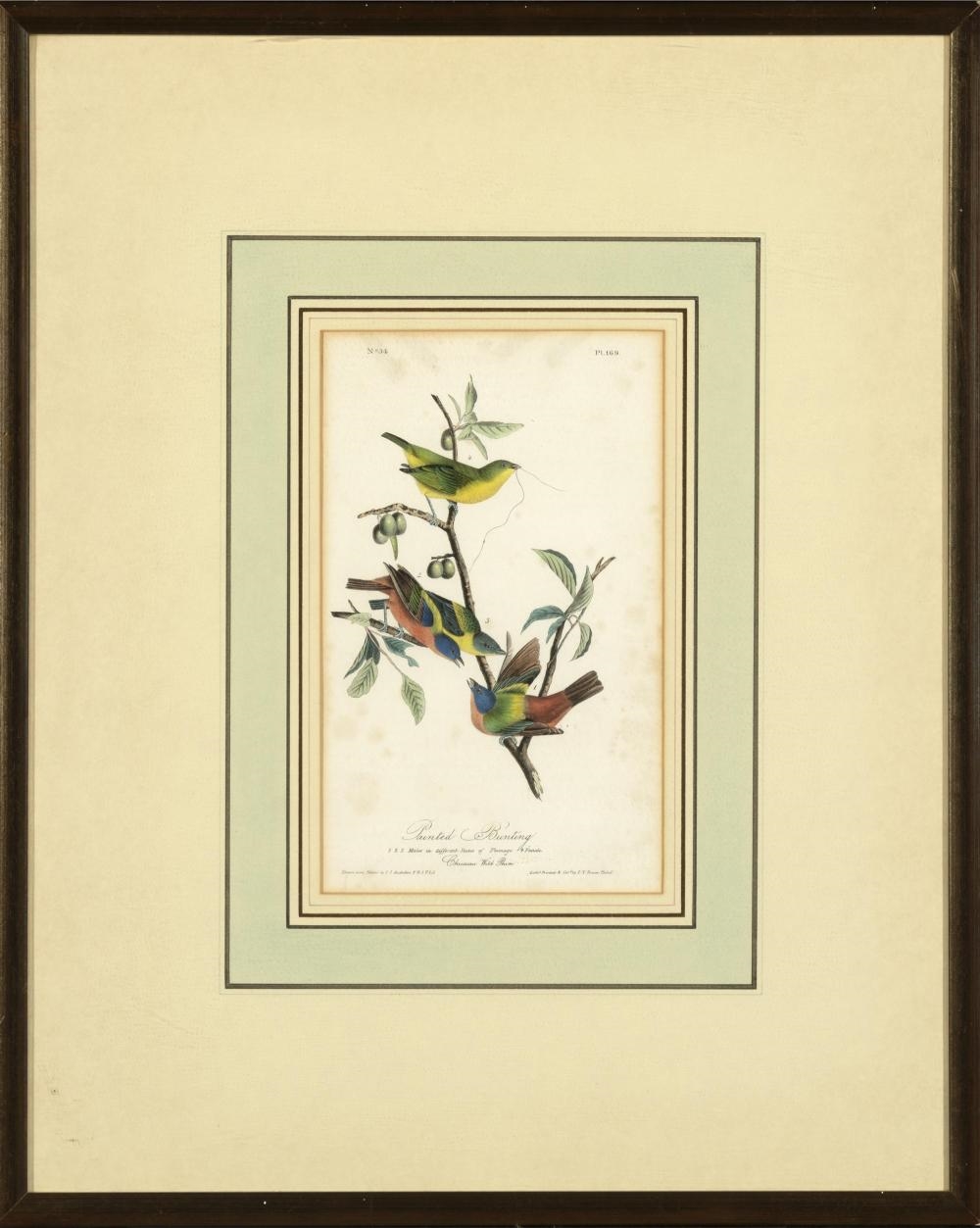 John James Audubon | Painted Bunting | MutualArt