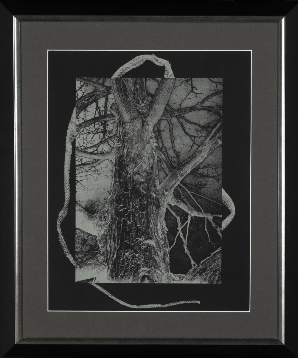 Meridel Rubenstein | Untitled (1996) | MutualArt