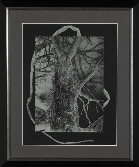 Meridel Rubenstein | Untitled (1996) | MutualArt